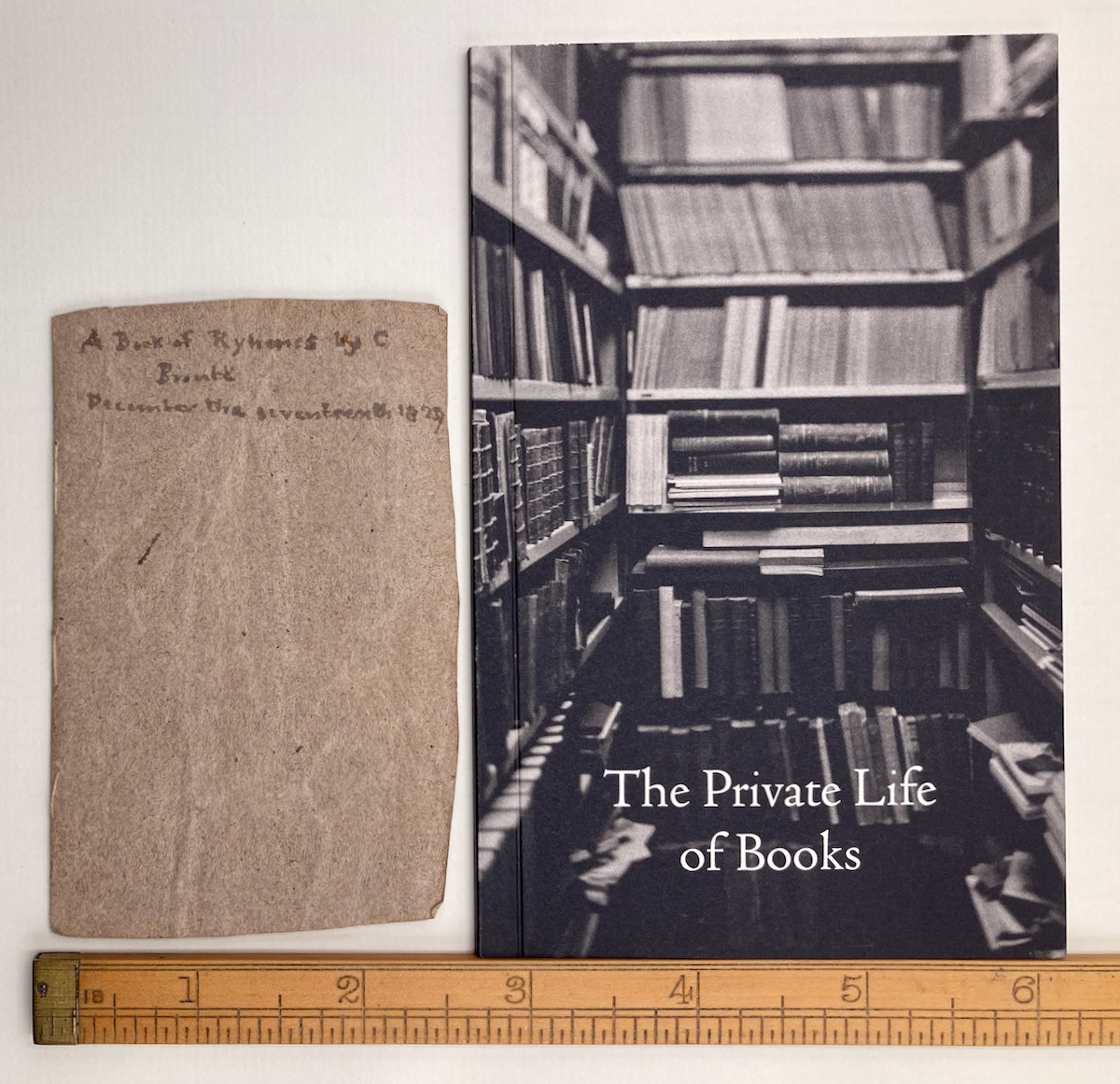 The Endless Bookshelf – simply messing about in books