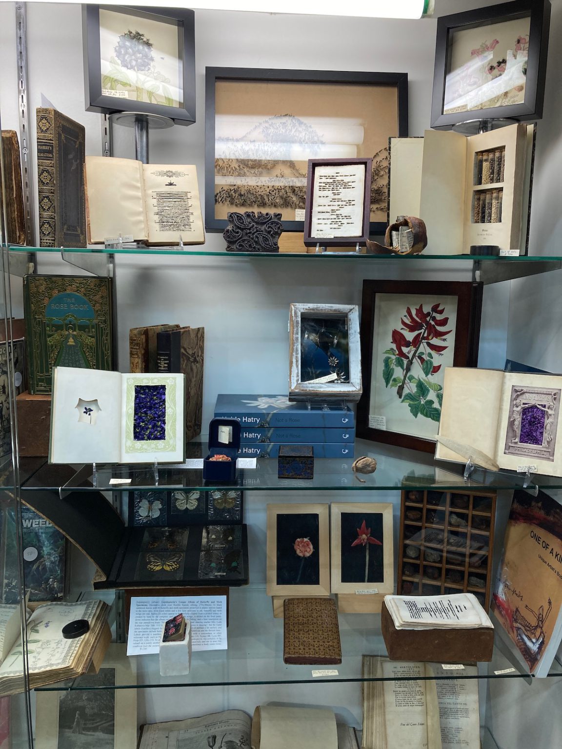 The Endless Bookshelf – simply messing about in books