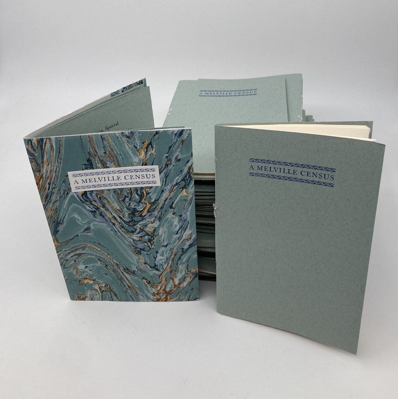 The Endless Bookshelf – simply messing about in books